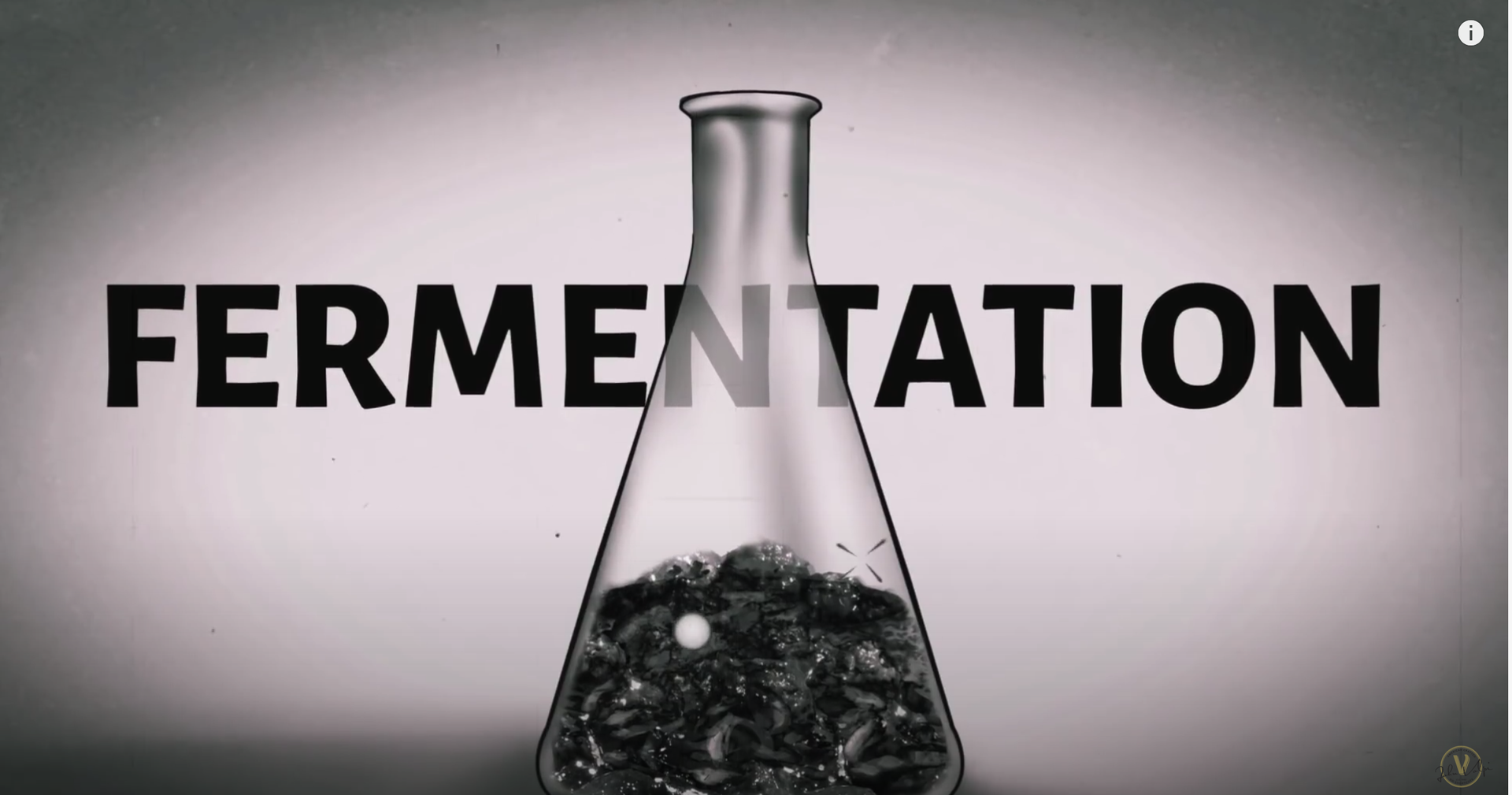 History of Fermentation | Winning